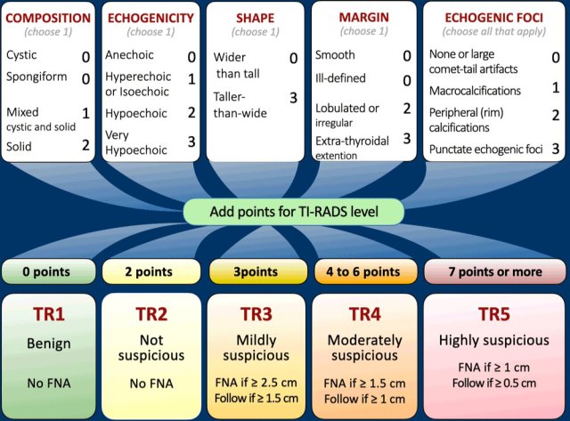 The Radiology Assistant : TI-RADS - Thyroid Imaging Reporting and Data ...