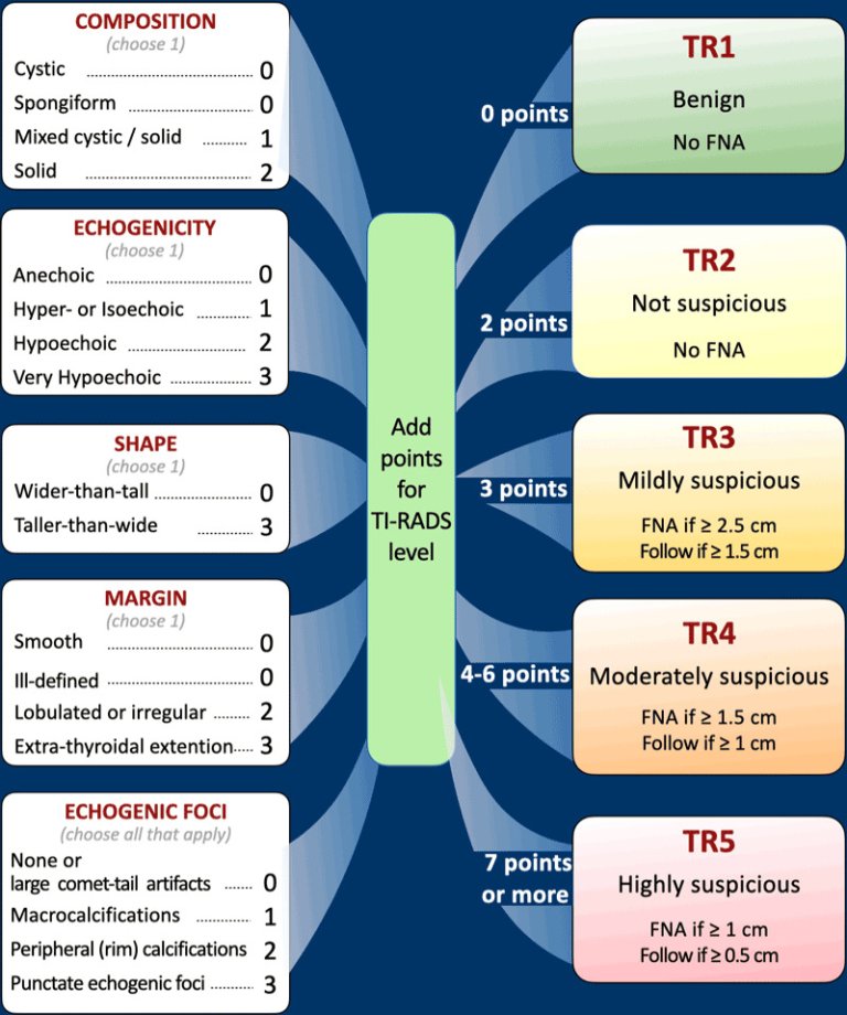 The Radiology Assistant : TI-RADS - Thyroid Imaging Reporting and Data System